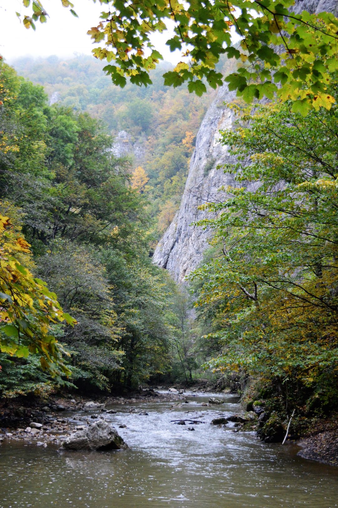 Cheile Vârghișului, un loc de poveste în inima Munților Perșani ...