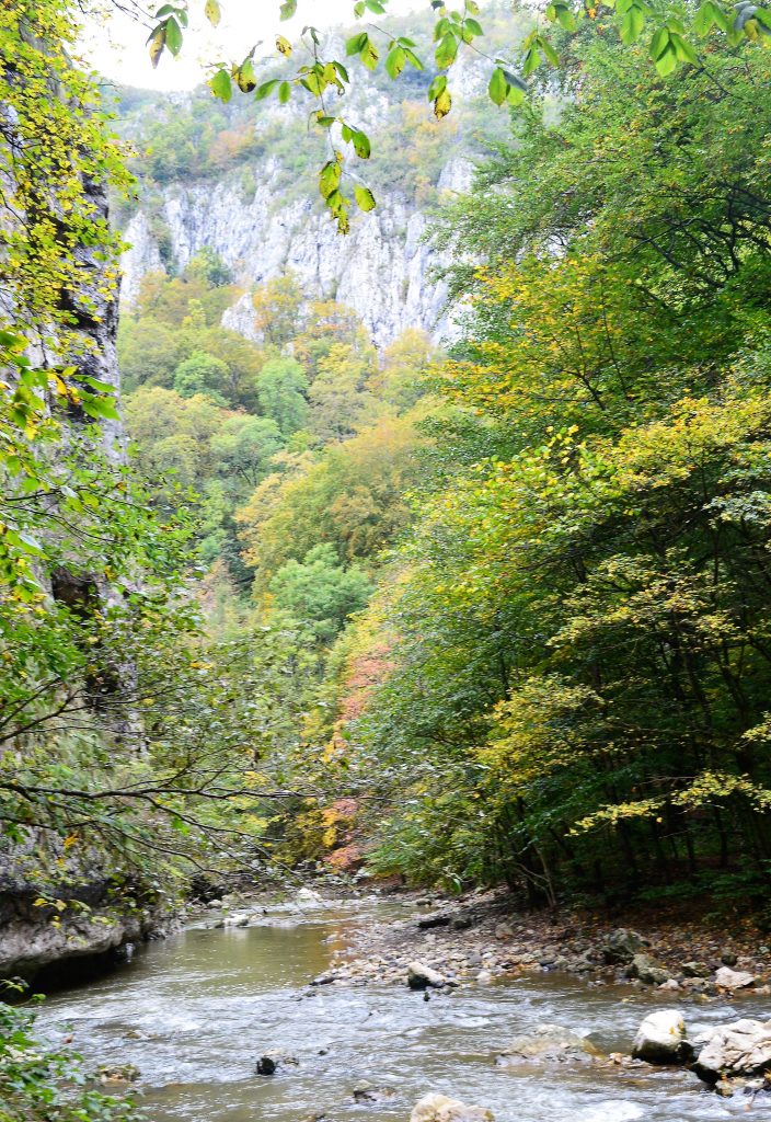 Cheile Vârghișului, un loc de poveste în inima Munților Perșani ...