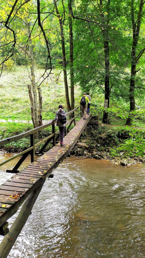 Cheile Vârghișului, un loc de poveste în inima Munților Perșani ...