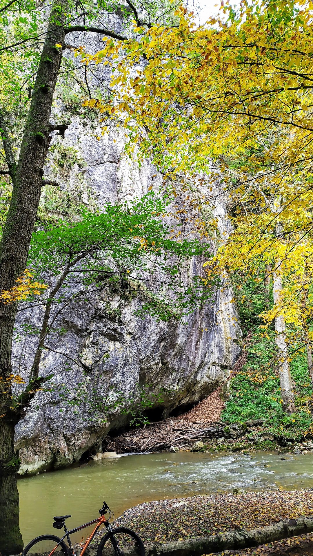Cheile Vârghișului, un loc de poveste în inima Munților Perșani ...