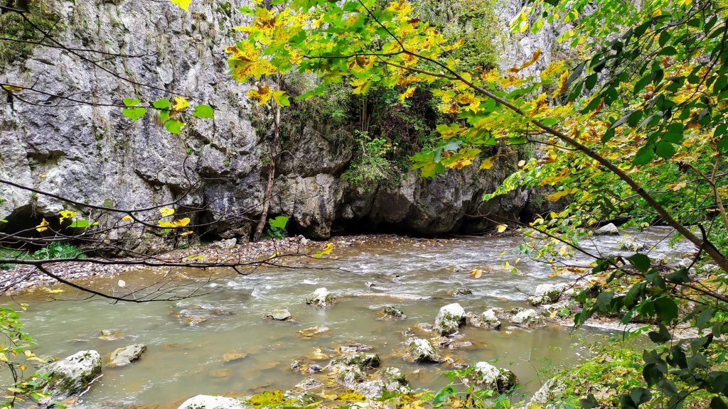 Cheile Vârghișului, un loc de poveste în inima Munților Perșani ...