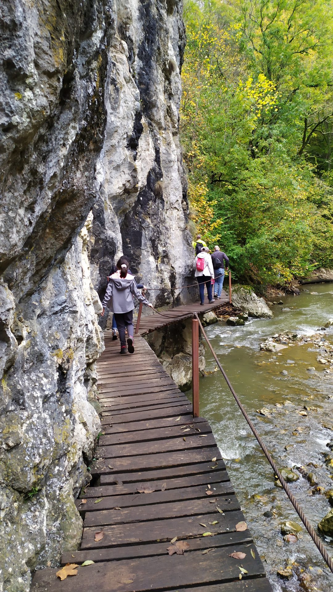 Cheile Vârghișului, un loc de poveste în inima Munților Perșani ...